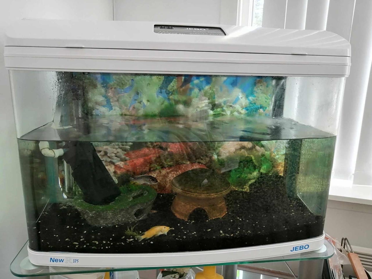 Jebo r375 fiskakvarium | FINN-torget