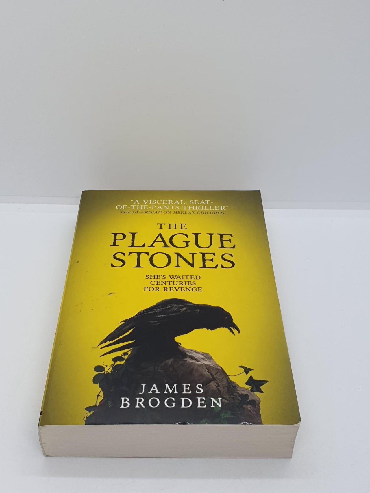 The plague Stones - James Brogden | FINN torget