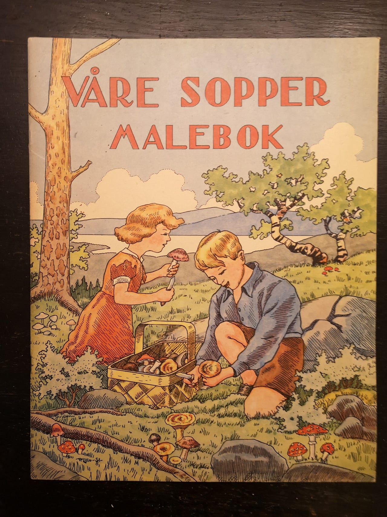 Våre sopper Malebok | FINN-torget