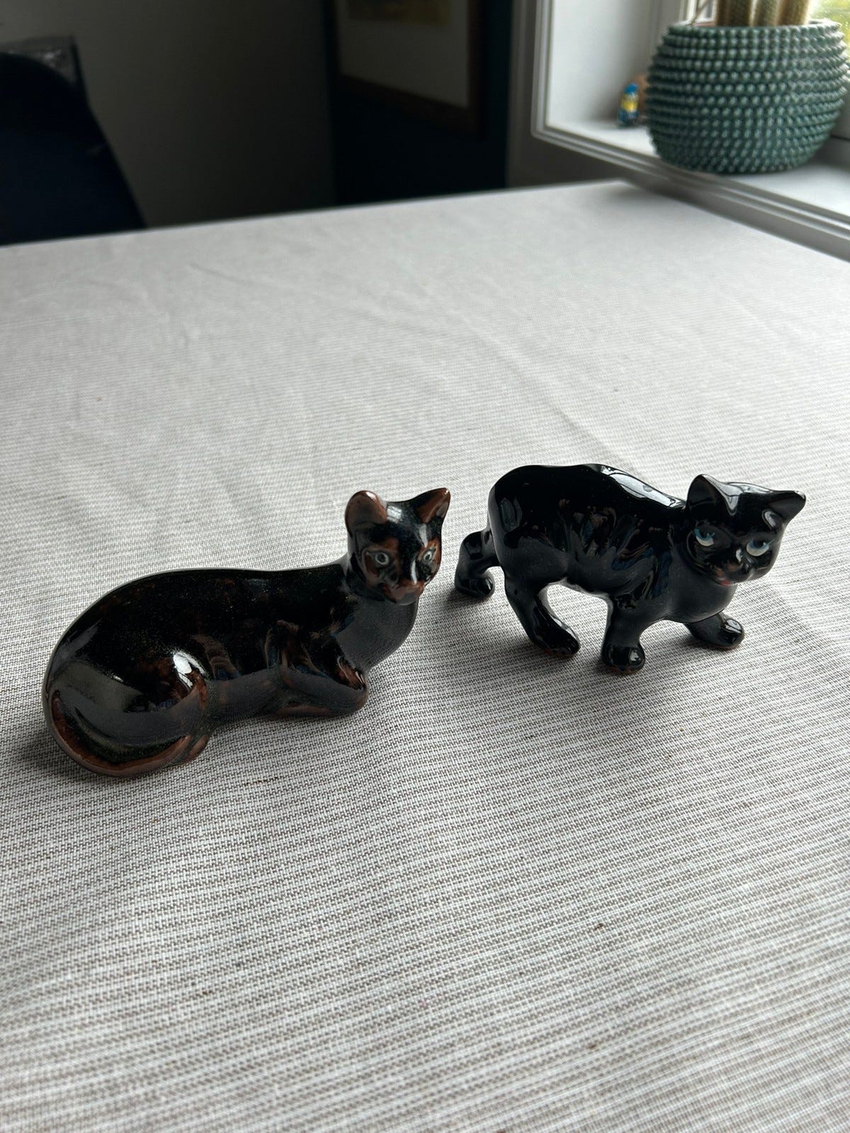 To fine svarte katter | FINN-torget