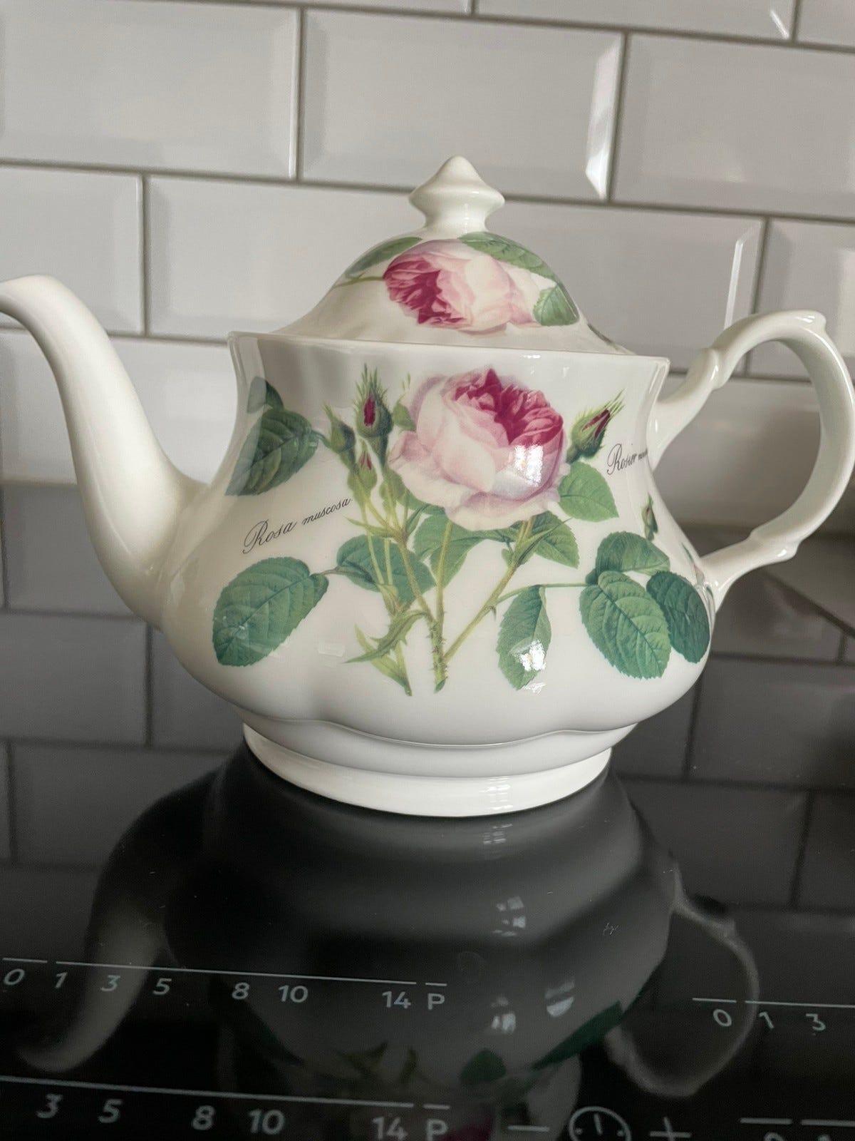 Redoute Roses Roy Kirkham te-kanne England | FINN-torget