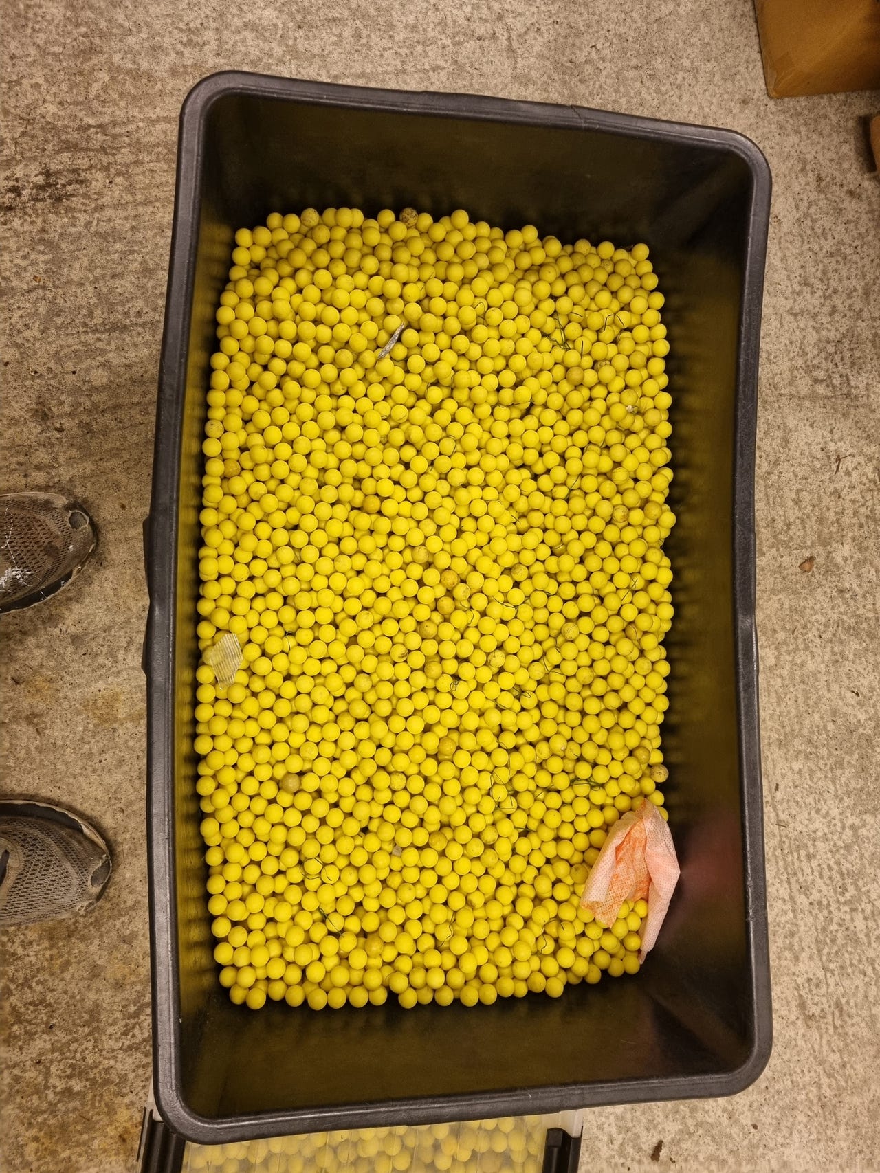 Reball .68 cal | FINN-torget