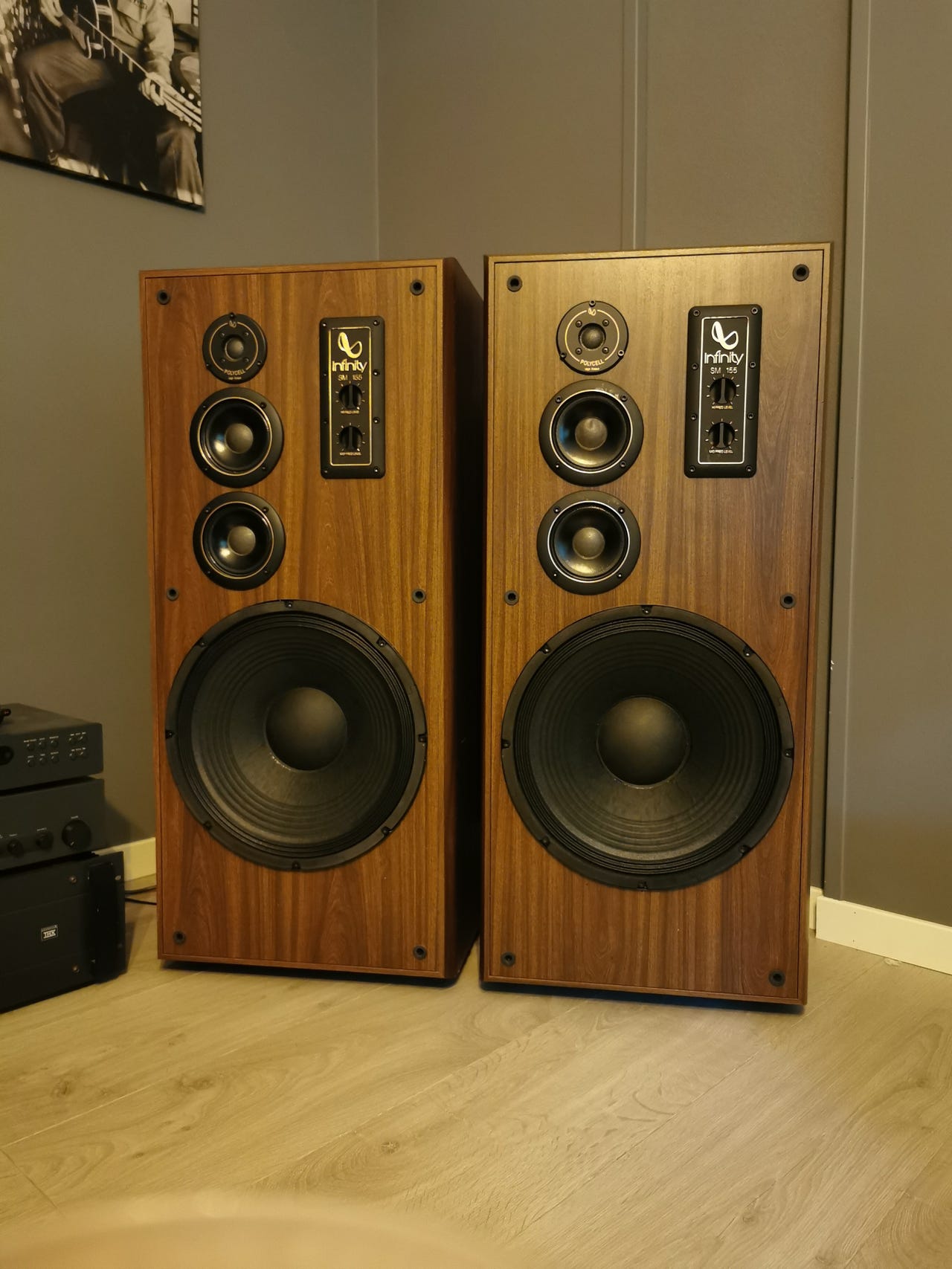 Infinity sm155, nye 15" elementer | FINN-torget