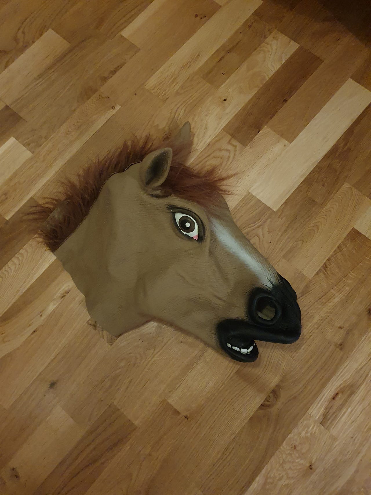 Hestehode maske | FINN torget