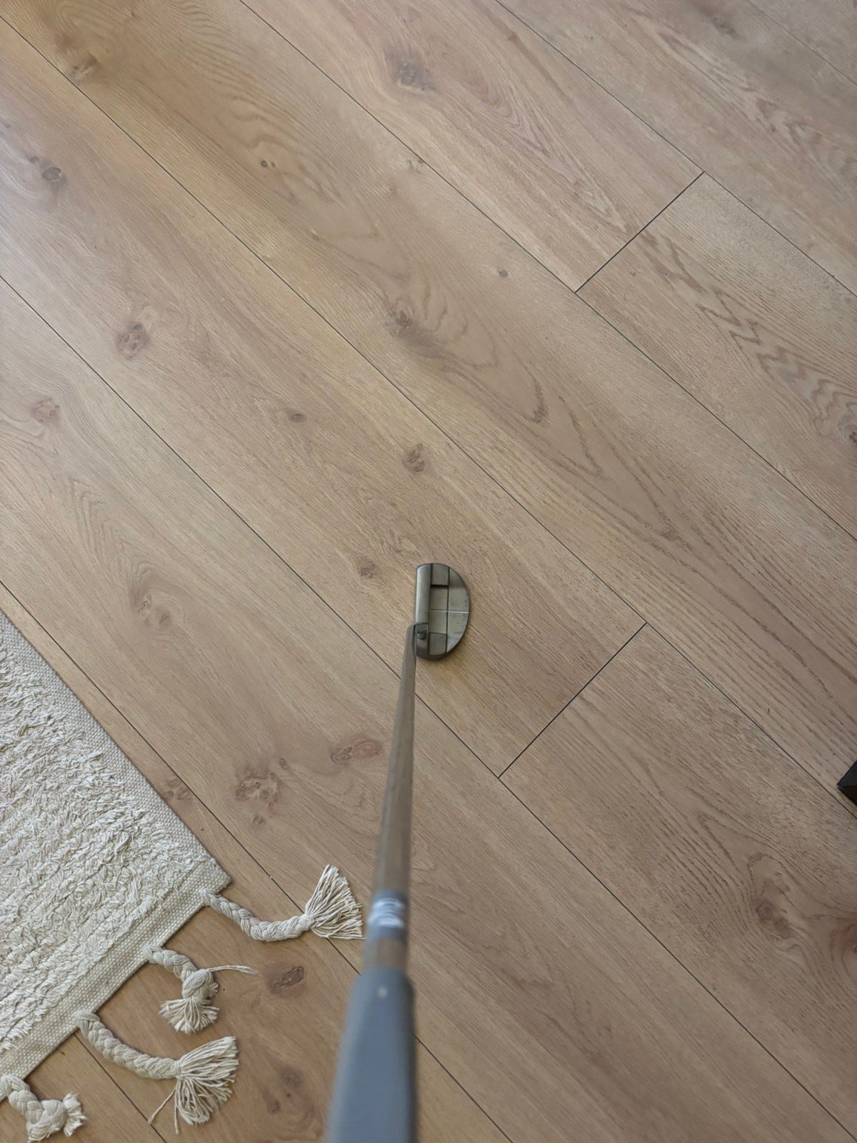 Cobra mallet putter selges | FINN torget