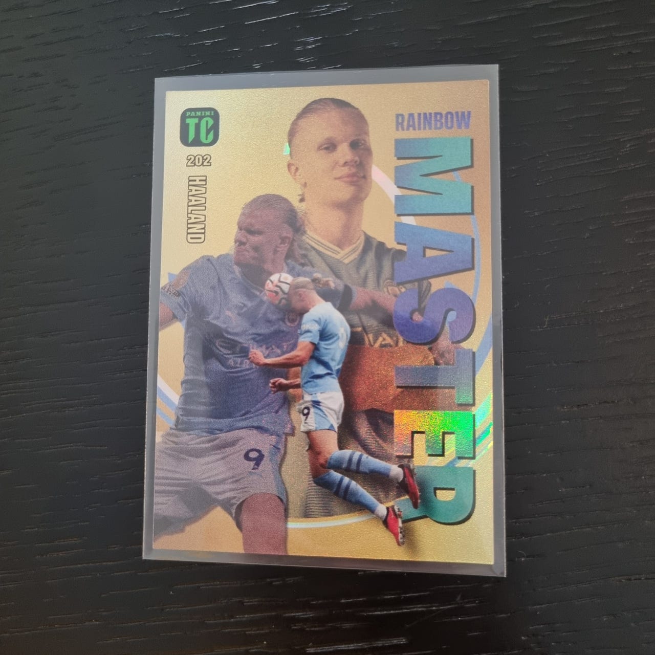 Haaland Rainbow Master kort | FINN-torget