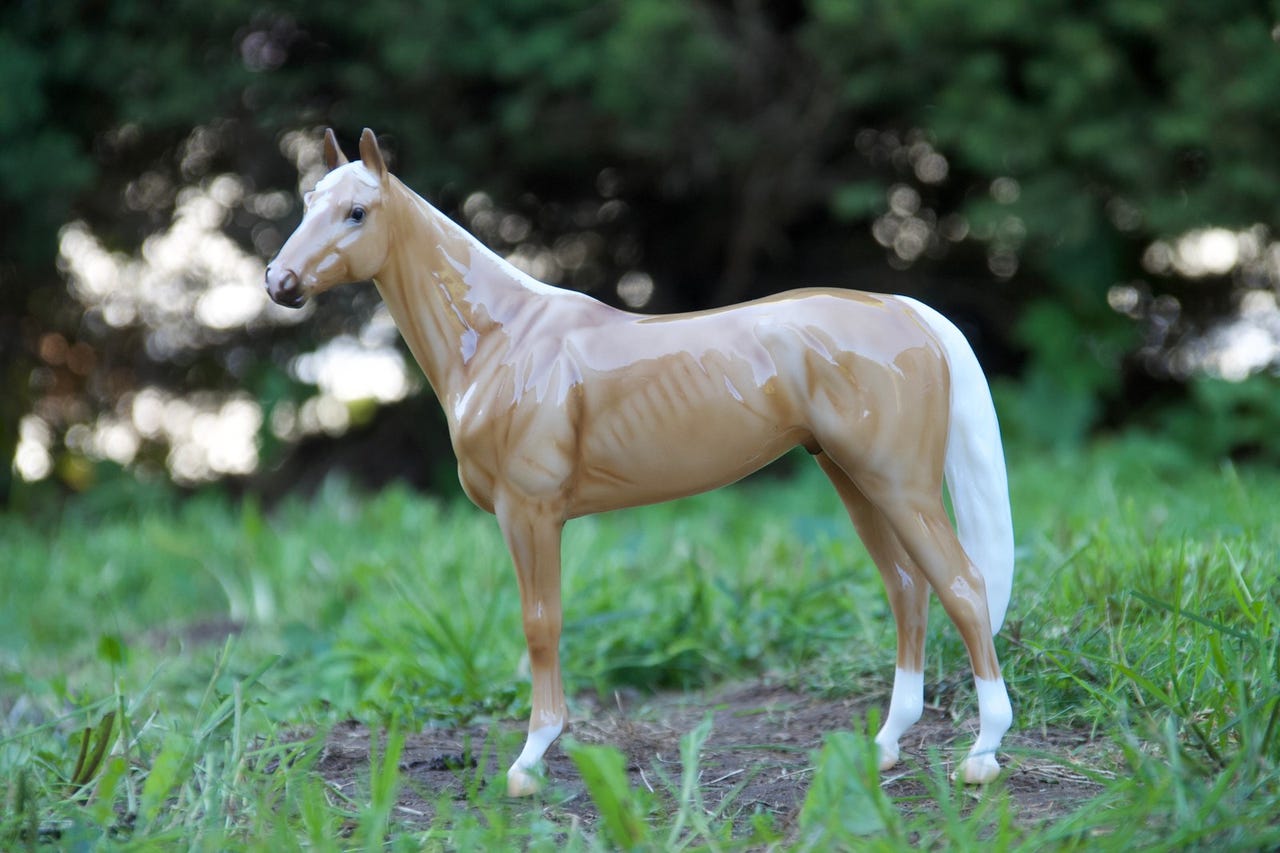 Breyer Chadwick 2022 Collector Club | FINN torget