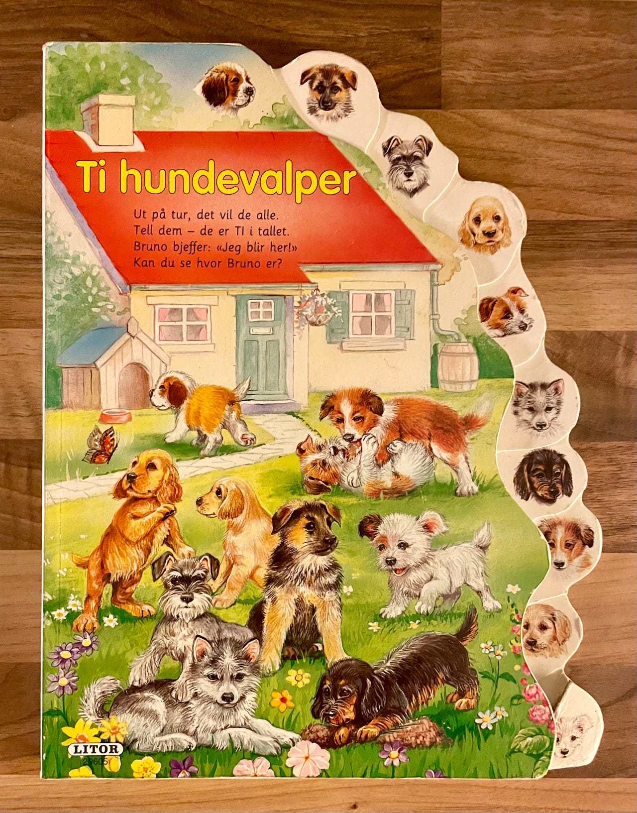 Ti hundevalper | FINN-torget