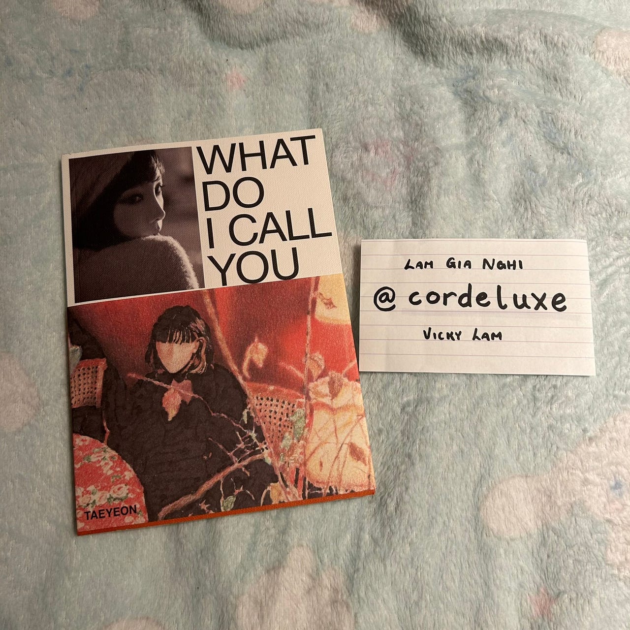 Taeyeon ‘What Do I Call You’ album | FINN-torget