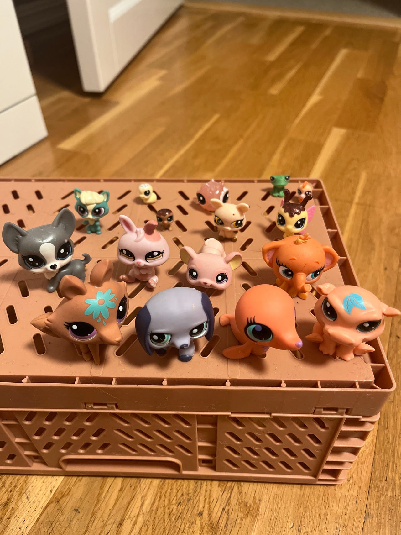 Littlest Pet Shop 16 stk | FINN-torget