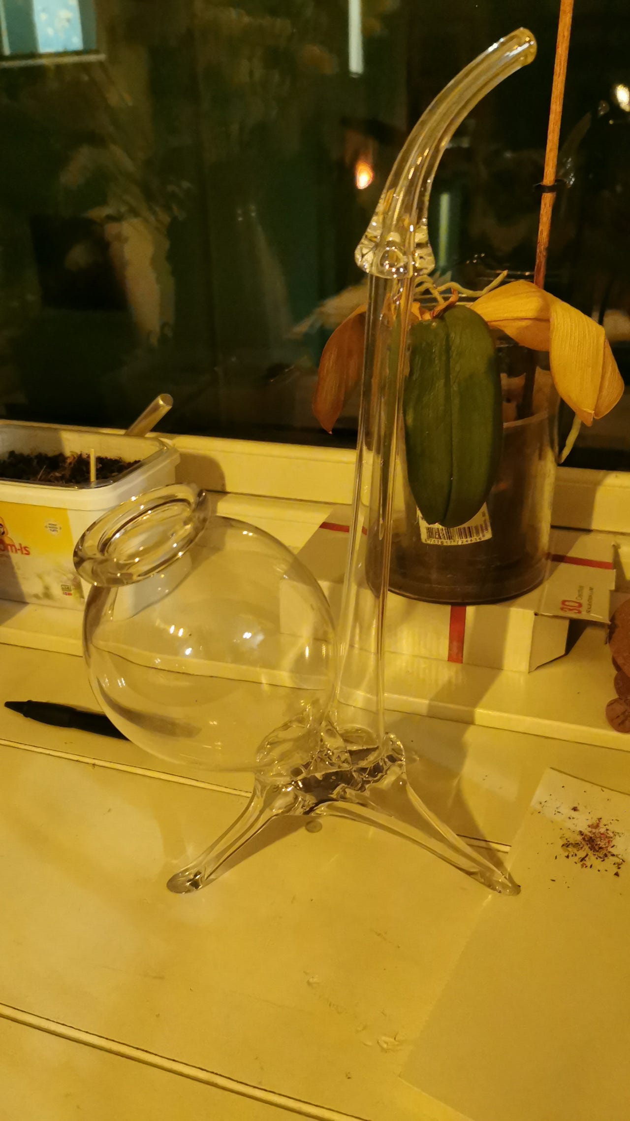 Konjakk pipe i glass | FINN-torget