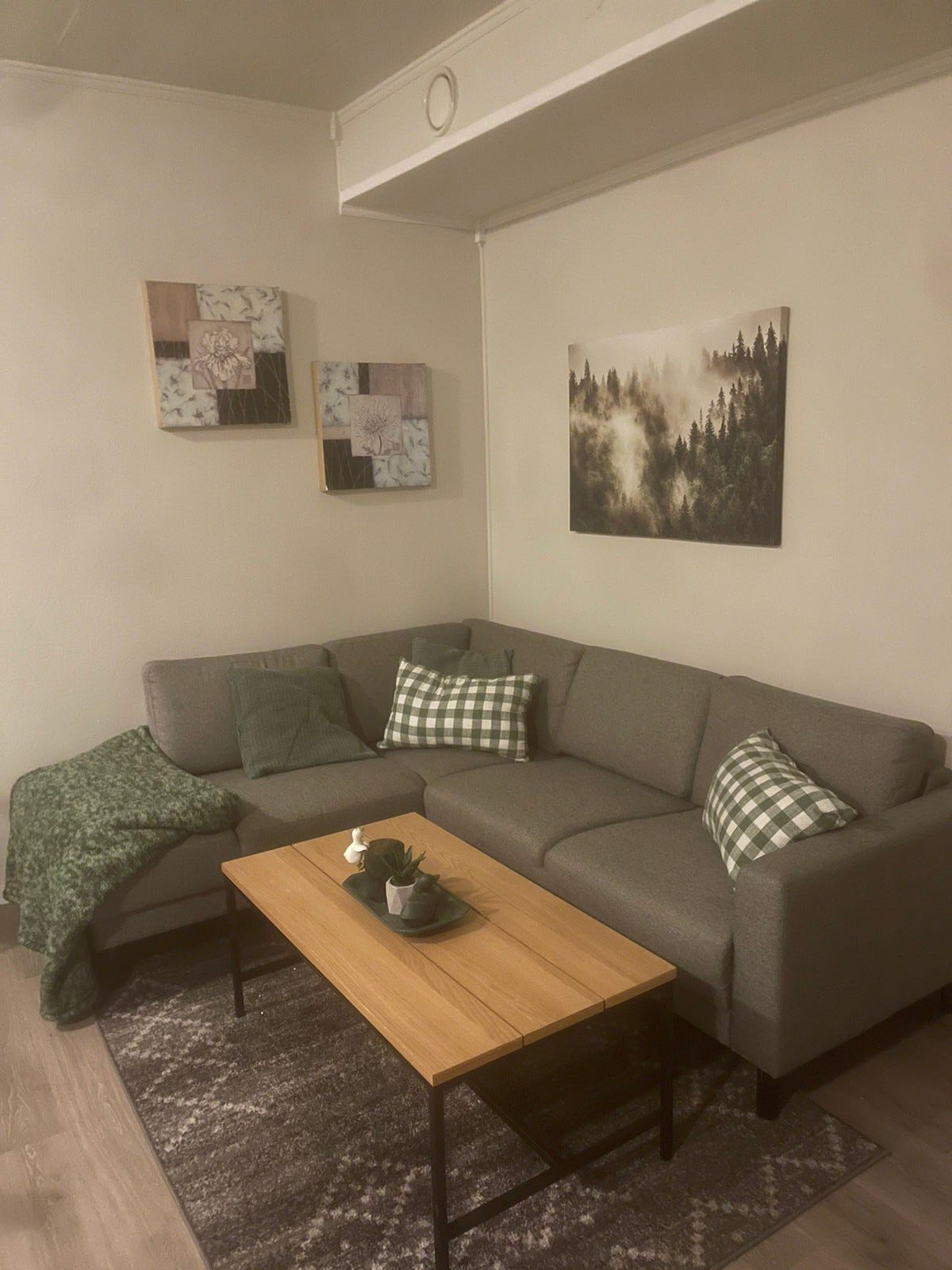 Fin soffa selges grunnet flytting | FINN-torget