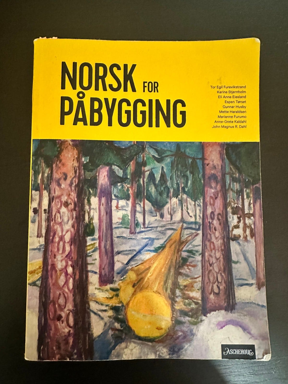 Norsk påbygg vg3 | FINN-torget