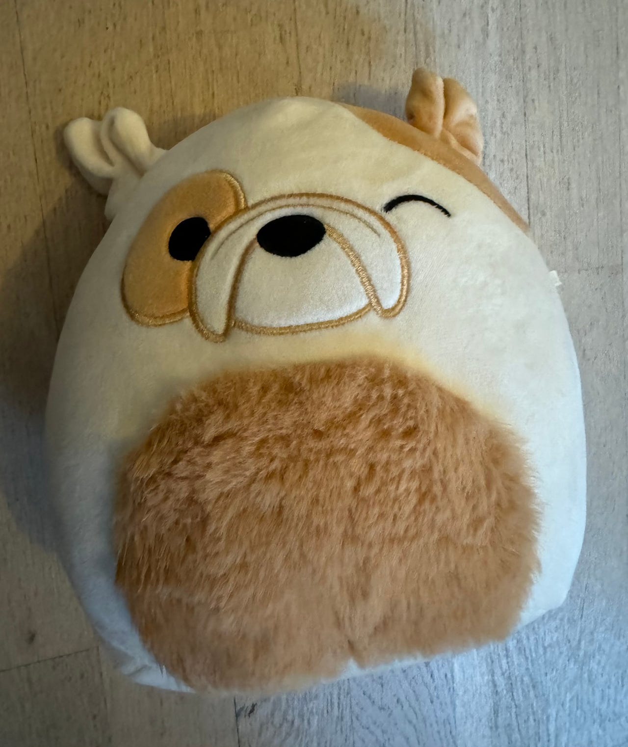 Squishmallows Brock the Winking Bulldog 19 cm | FINN-torget