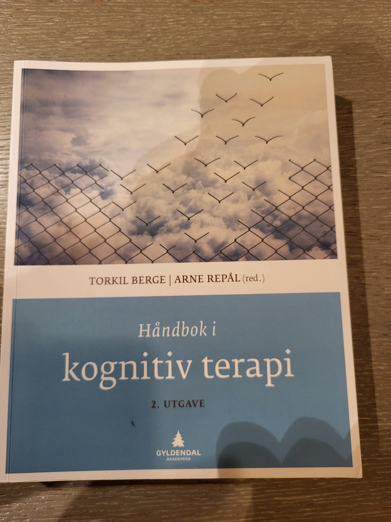 Håndbok i kognitiv terapi | FINN-torget