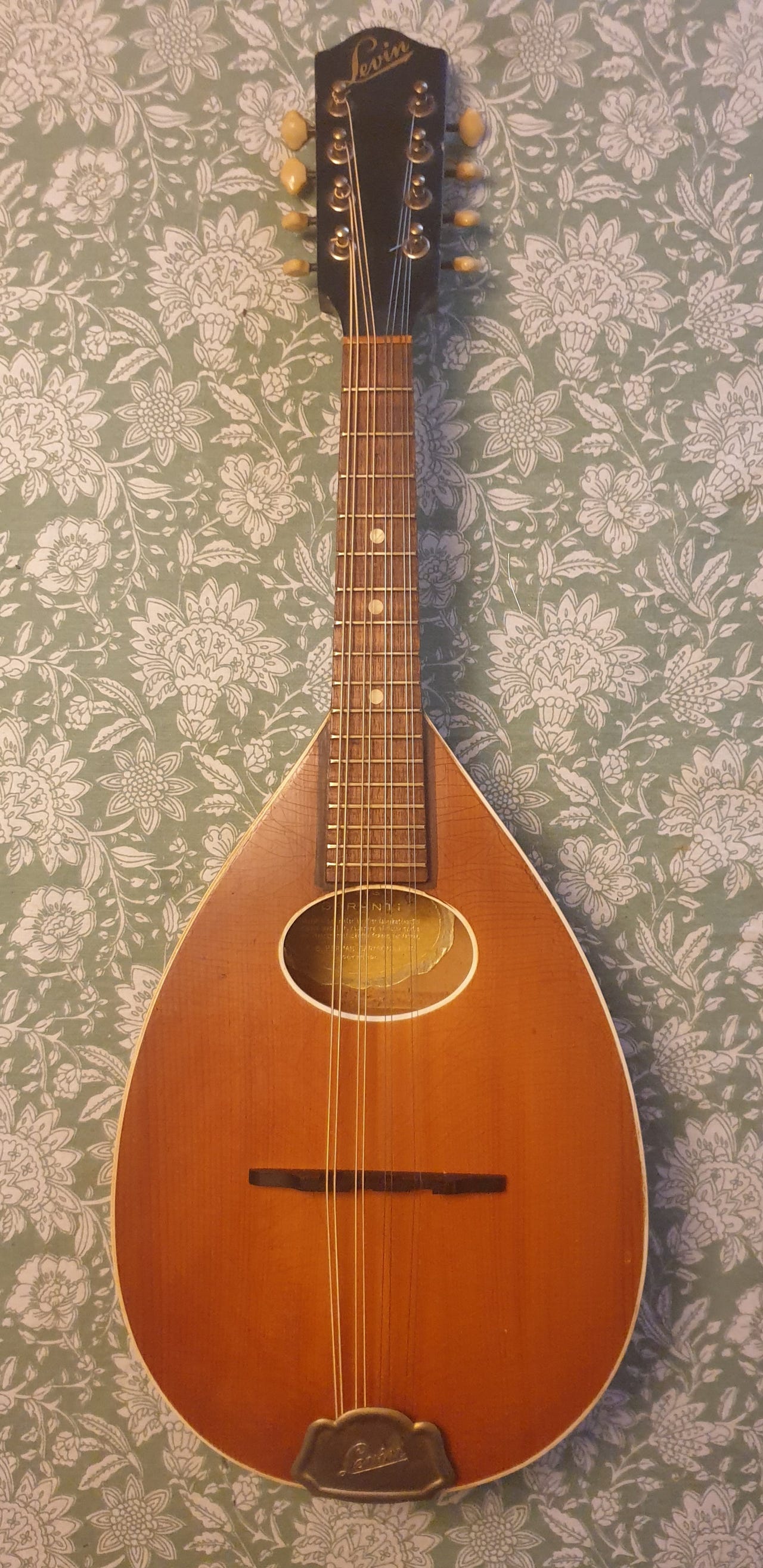 Levin Modell 47 mandolin | FINN-torget