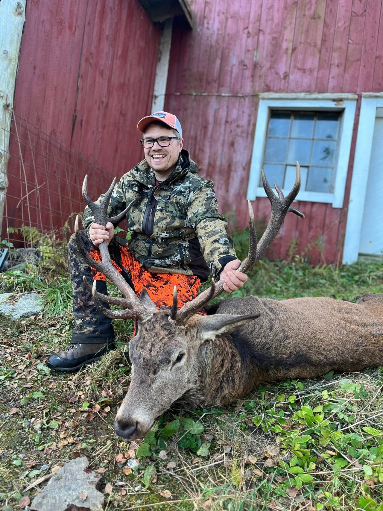 Hjortejakt på vestlandet | FINN-torget