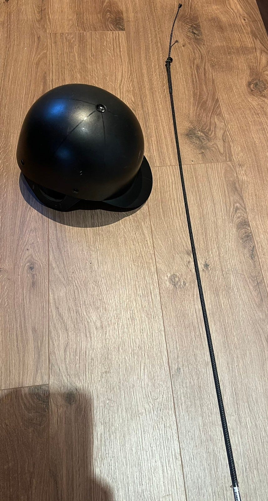 Ridehjelm og pisk | FINN-torget