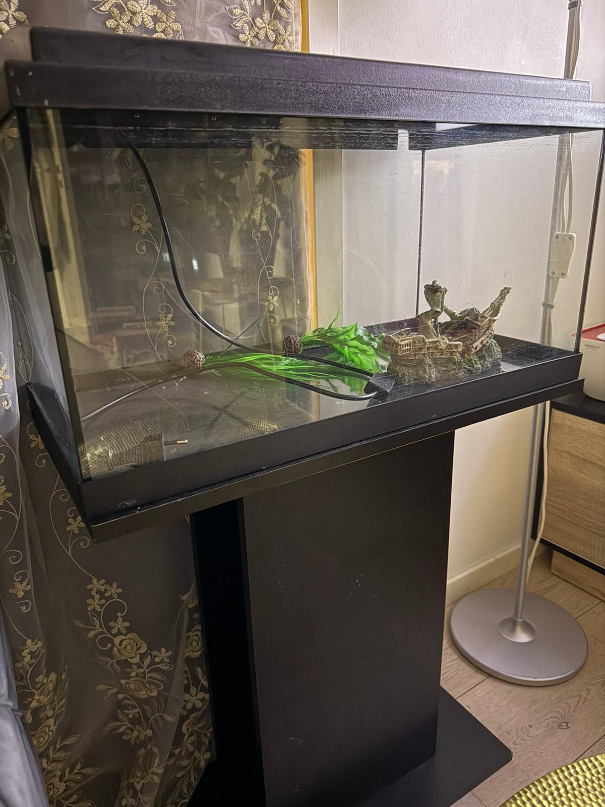 Akvariet med tilbehør | FINN-torget