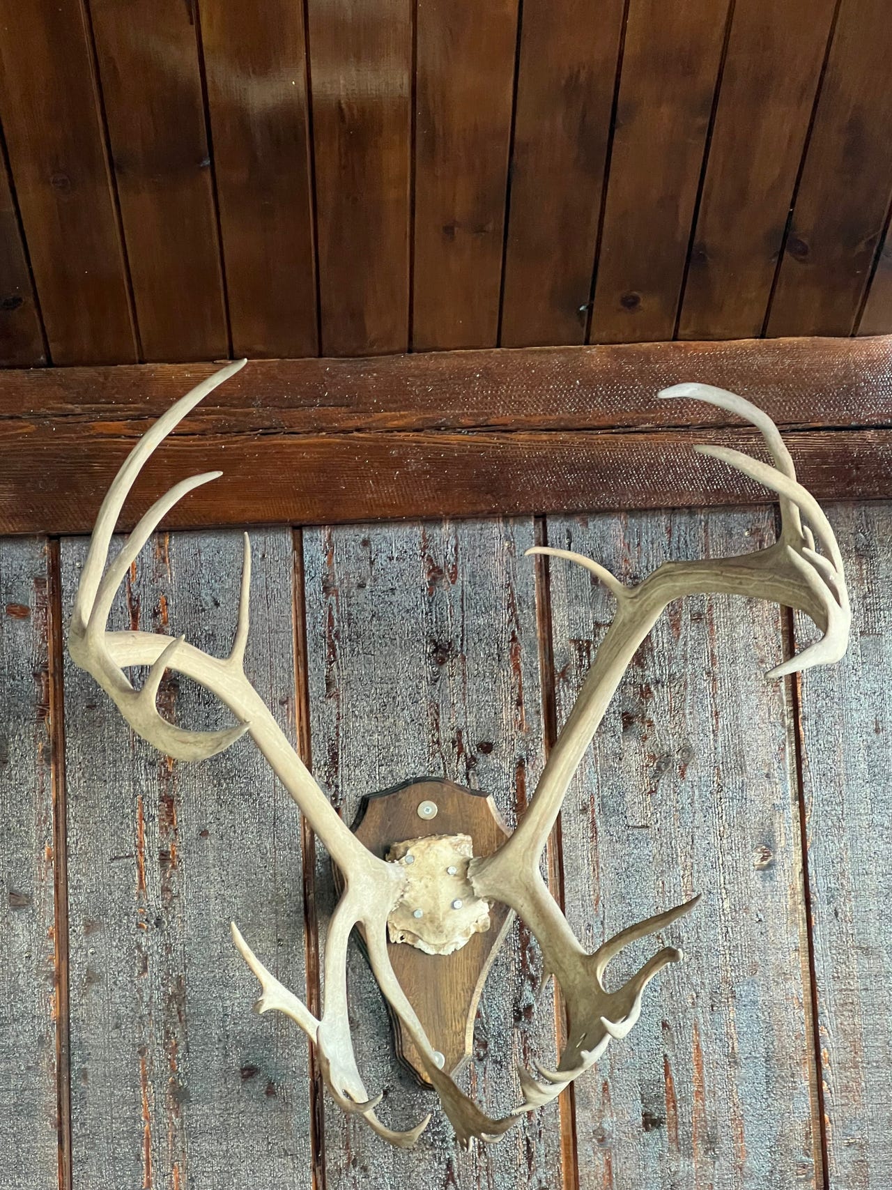 Stort og flott gevir til hytte | FINN-torget