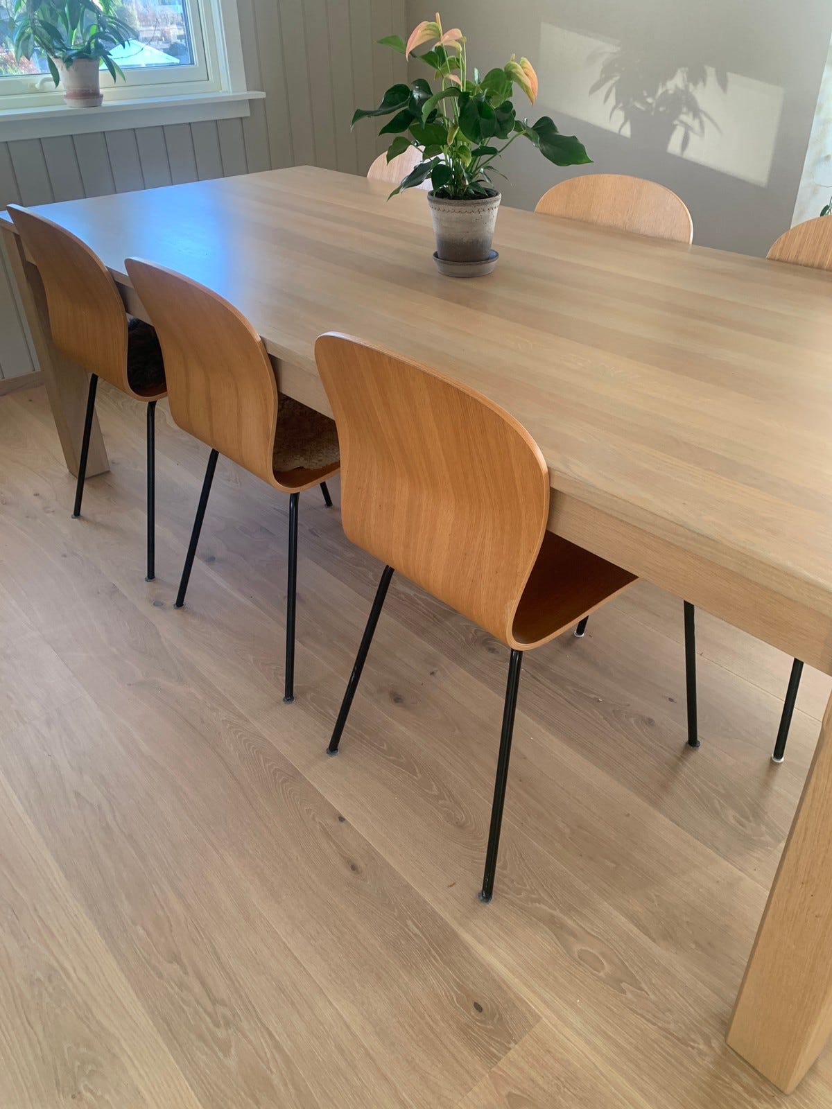 Bolia stoler i eikefiner | FINN-torget