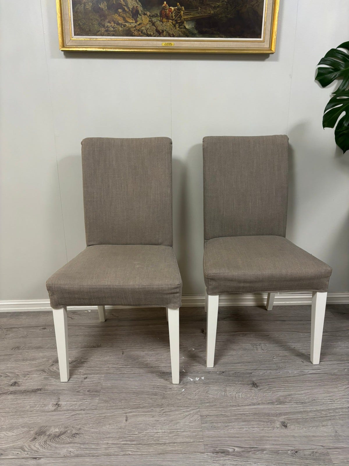 Stoler | FINN-torget