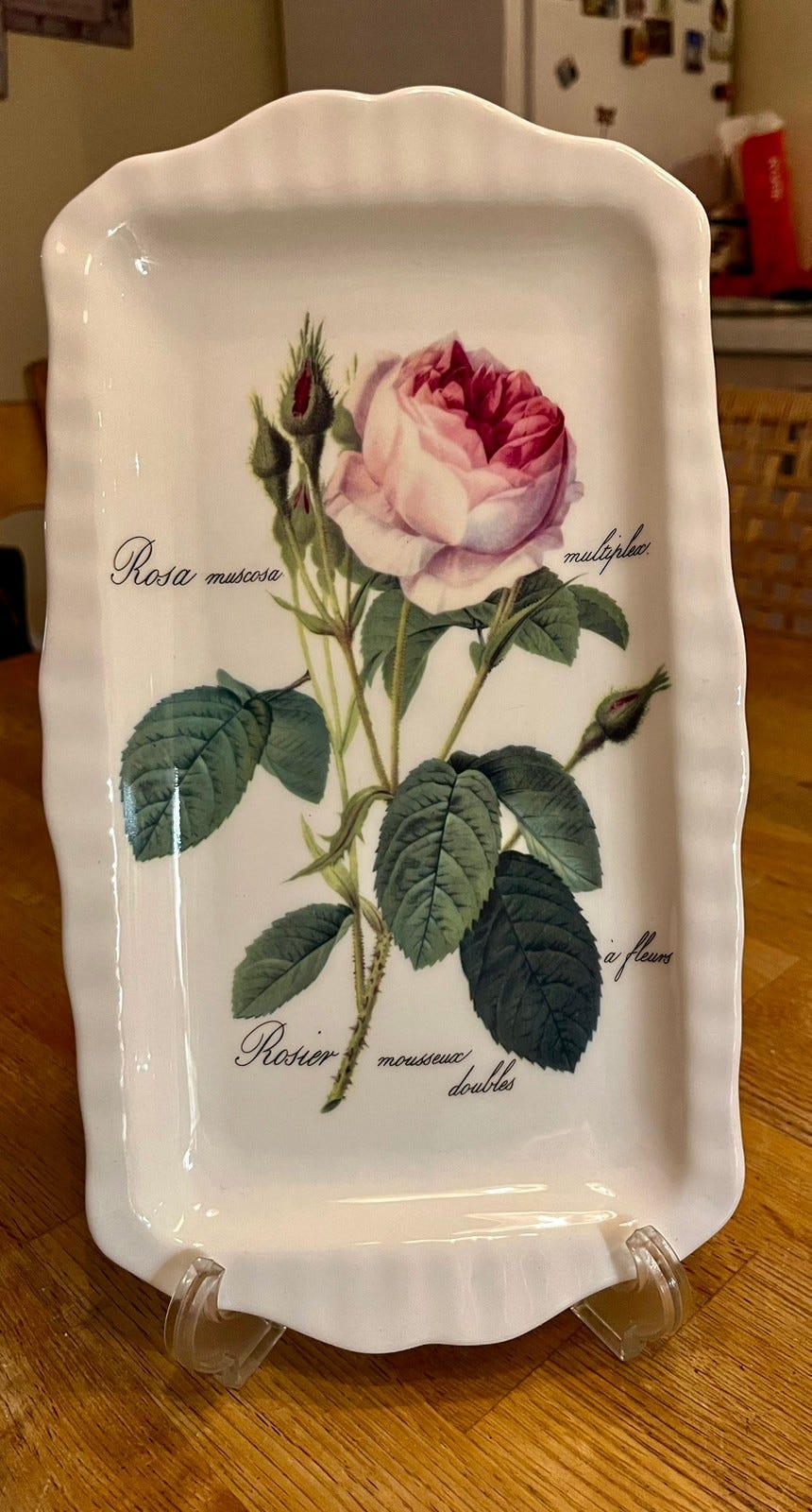 Roy Kirkham. Redoute Roses. Fine Bone China. England | FINN-torget