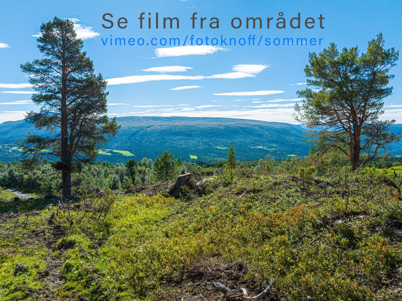 Klettgjelan Hyttegrend, snarveien til Gjevilvassdalen med optimale ...