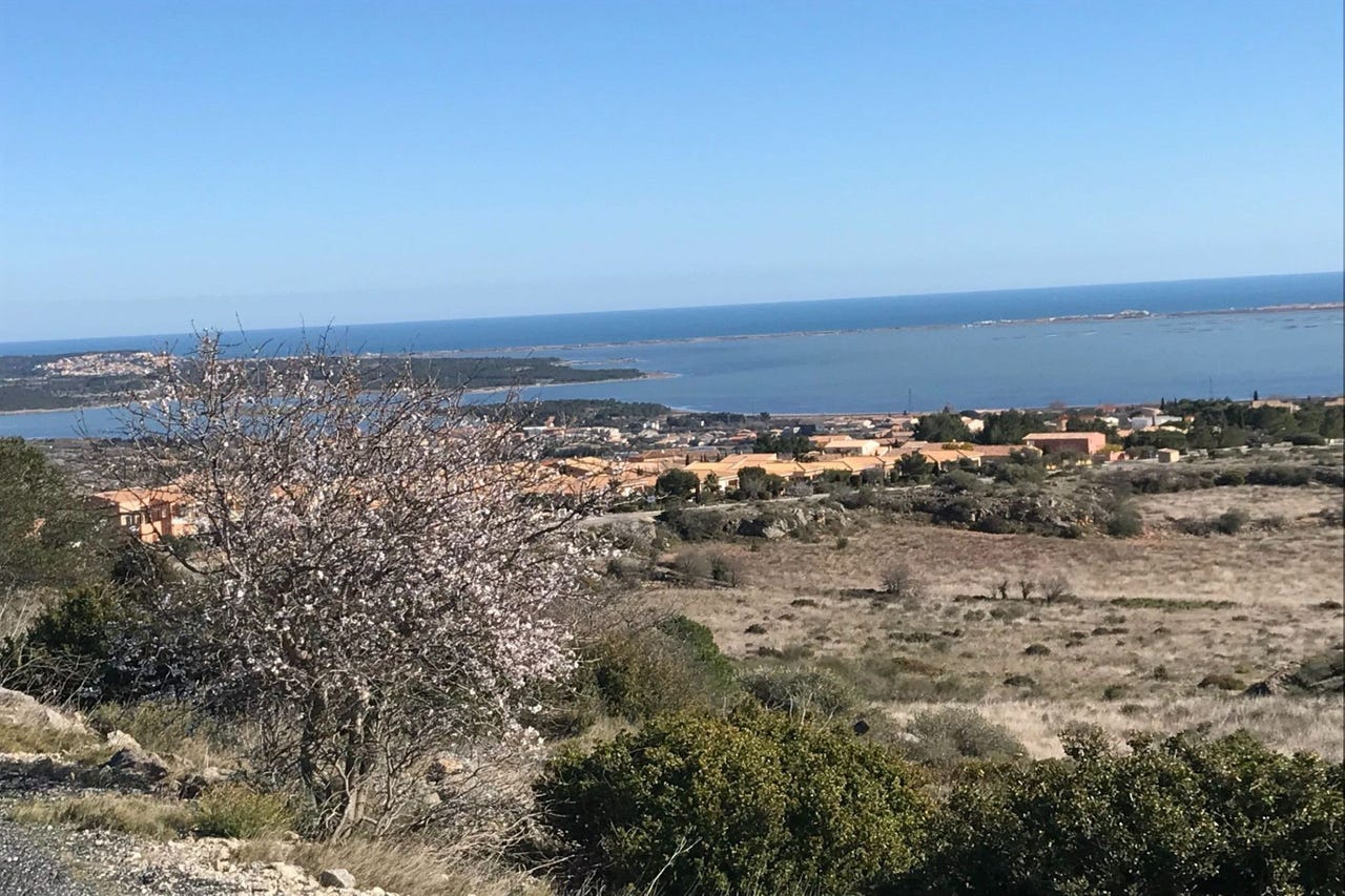 Fitou: Hyggelig leilighet i koselig domene med svømmebasseng og nydelig ...