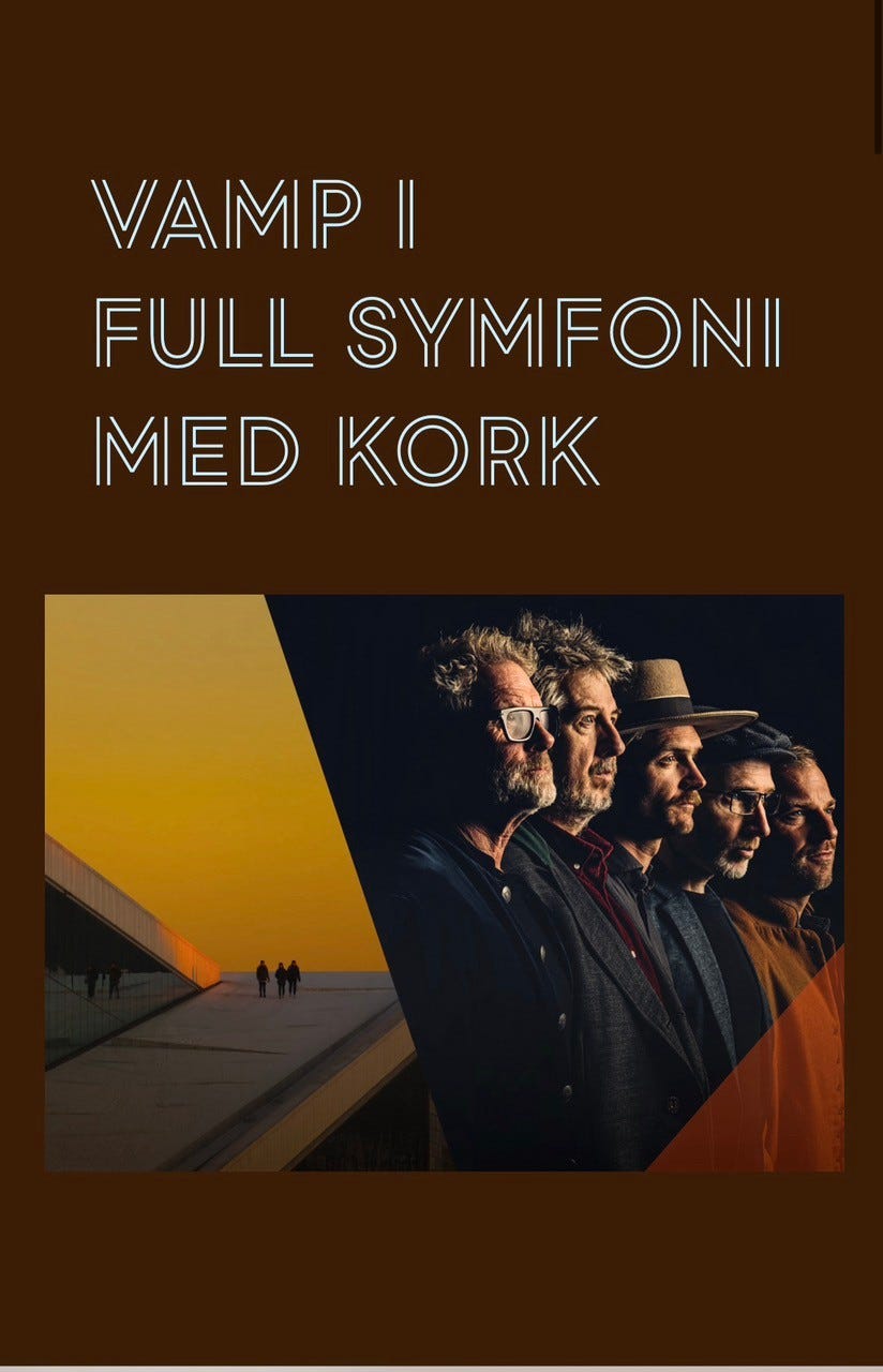 Vamp med KORK | FINN-torget