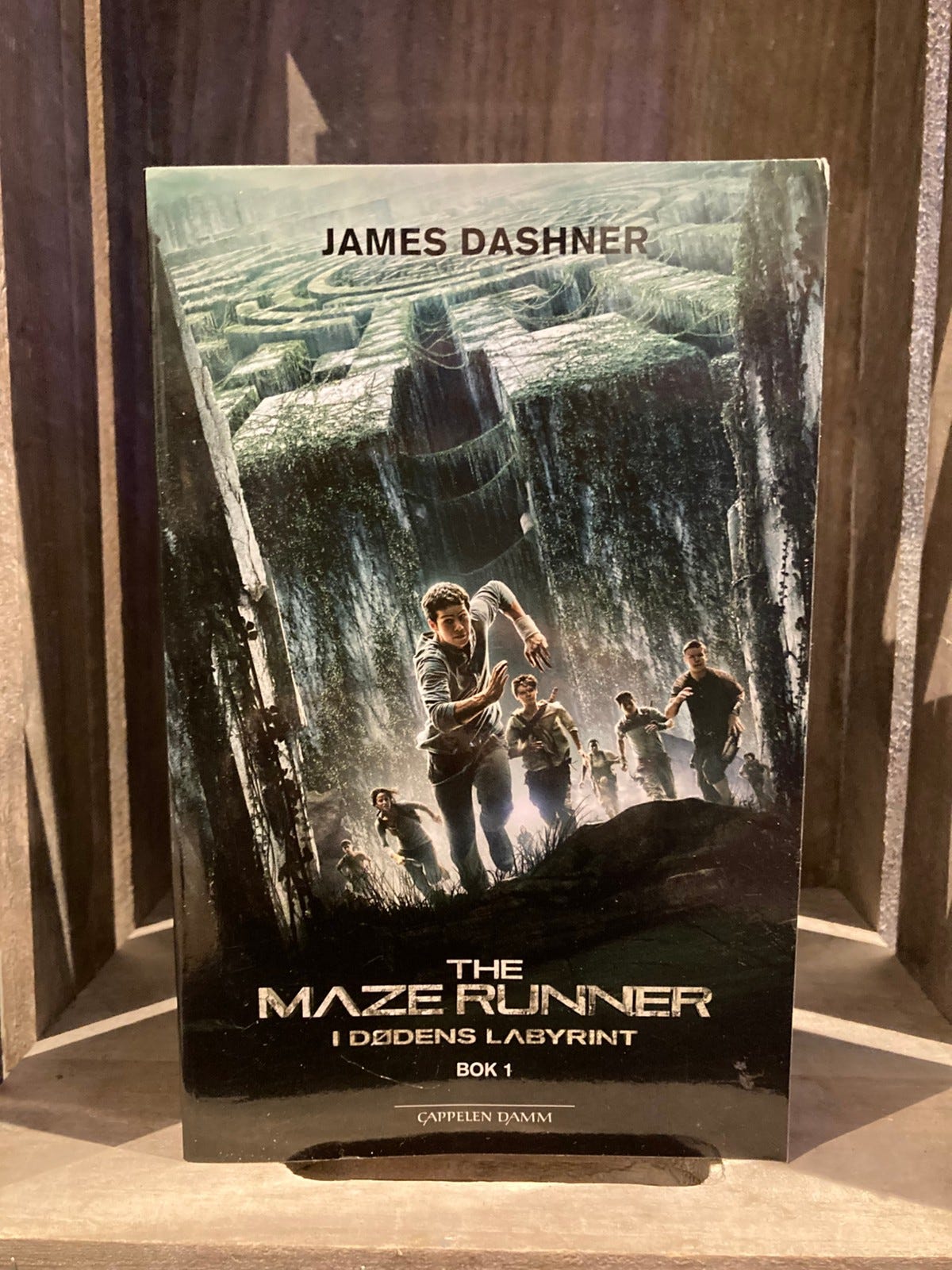 James Dashner: The Maze Runner - Bok 1 I Dødens Labyrint | FINN-torget