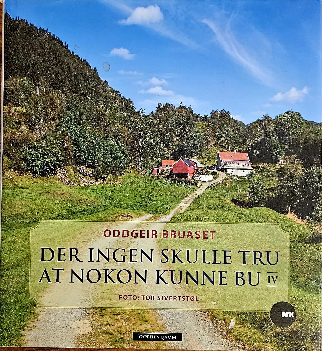 DER INGEN SKULLE TRU AT NOKON KUNNE BU (NR. 4) | FINN-torget