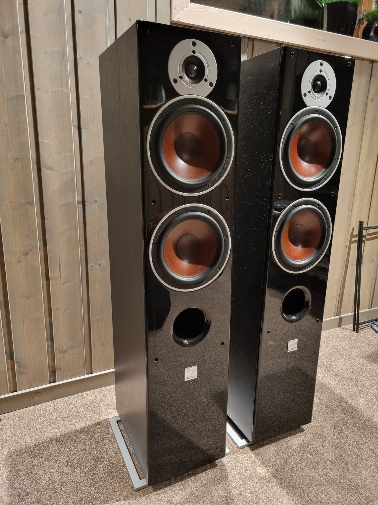 Dali zensor 7 | FINN-torget