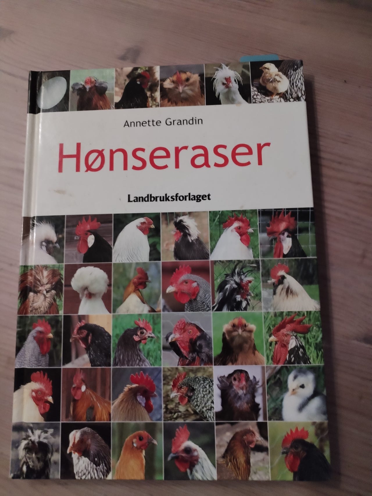 Hønseraser av Annette Grandin | FINN-torget