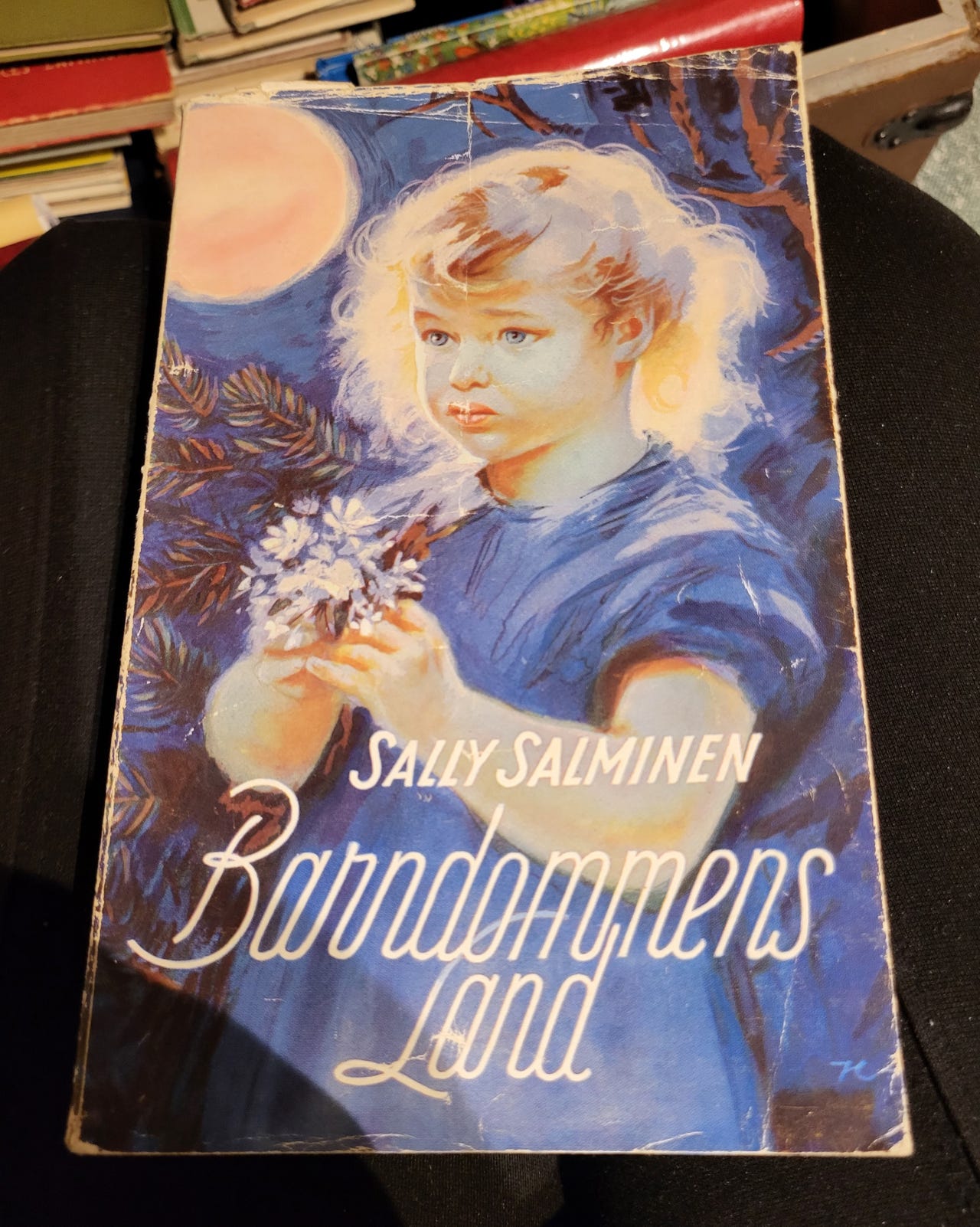 Bok av Sally Salminen | FINN-torget