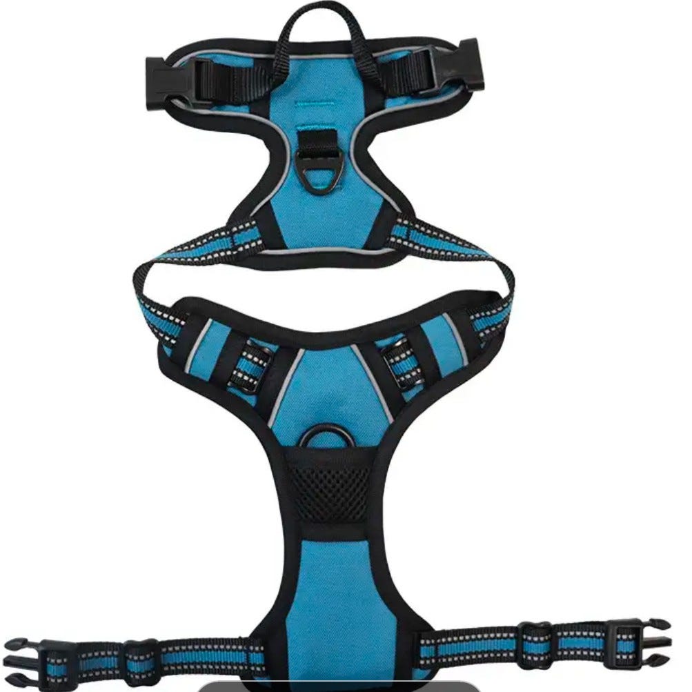 Hundesele | FINN-torget