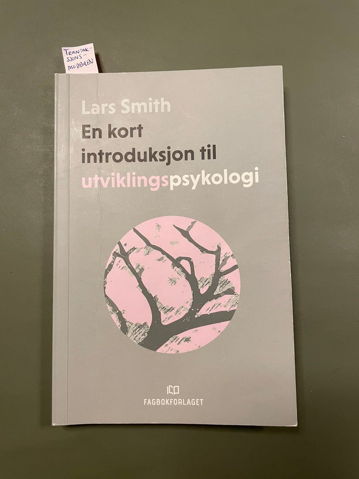 En kort introduksjon til utviklingspsykologi | FINN-torget
