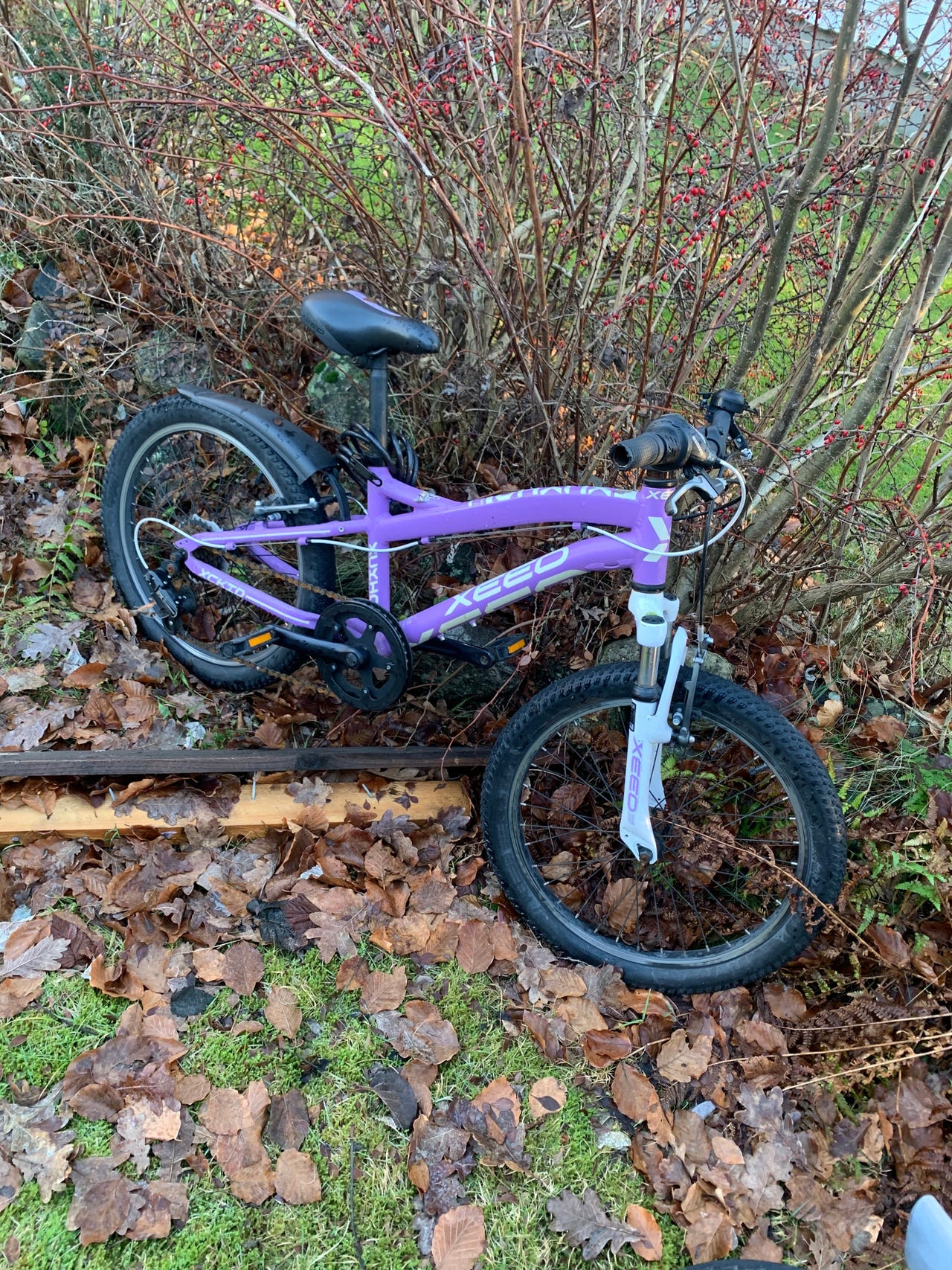 Sykkel barn | FINN-torget