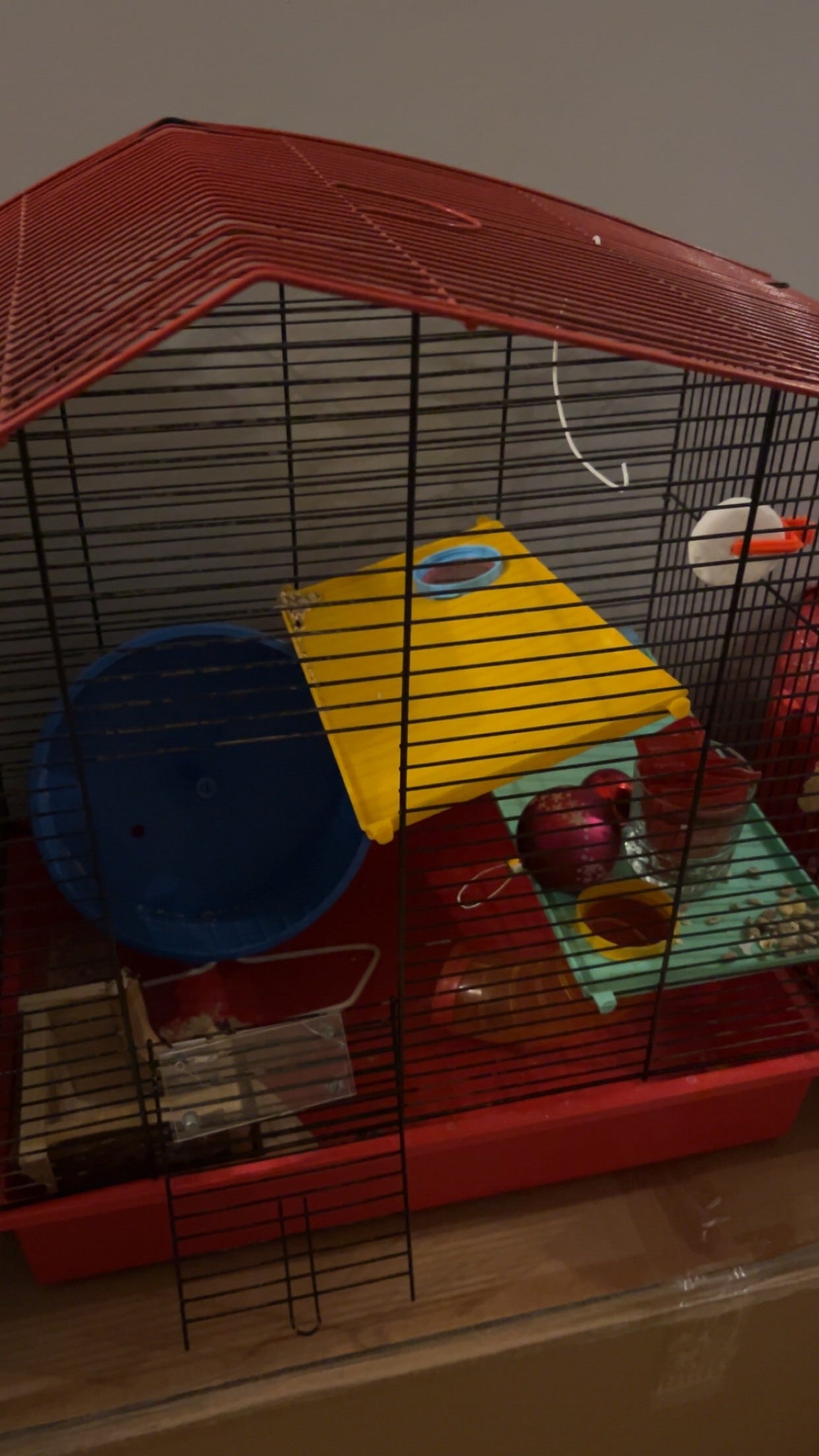 Bur til hamster eller fugl | FINN-torget