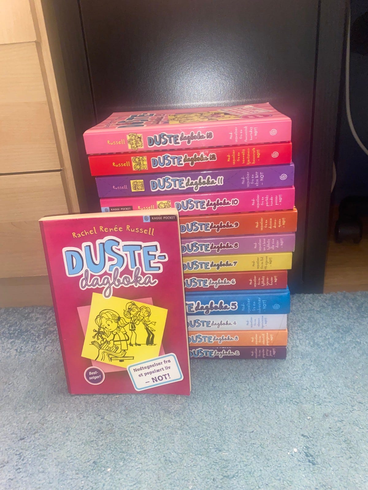 Duste-dagboka 1-13 | FINN-torget