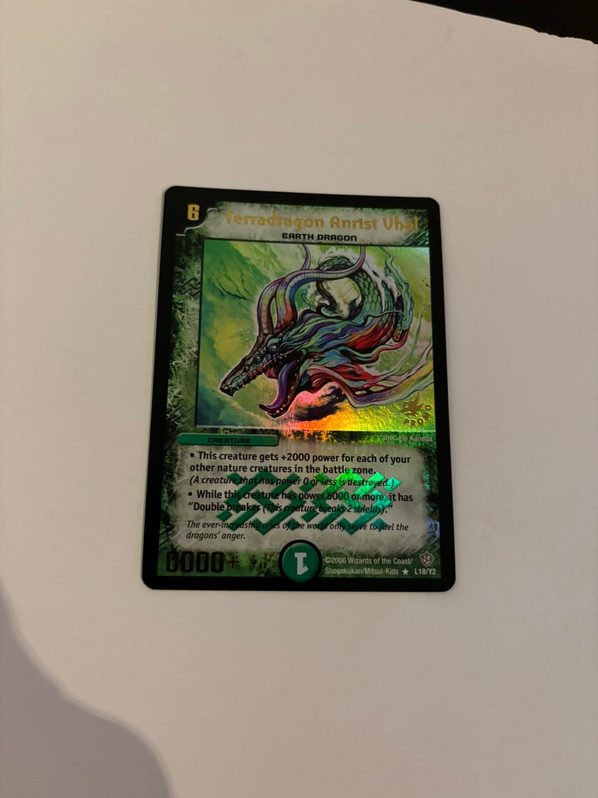 Duel master kort | FINN-torget