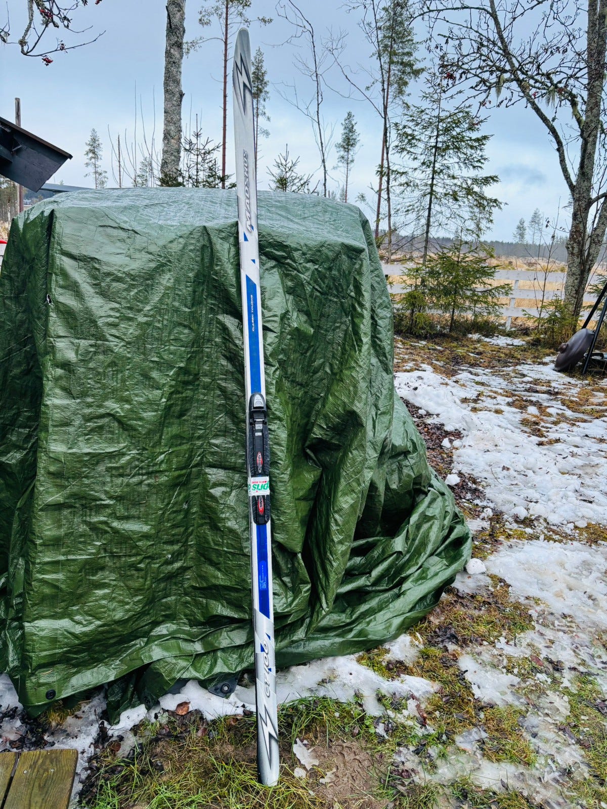 Ski «Madshus CT100», NNN, 170 cm | FINN-torget