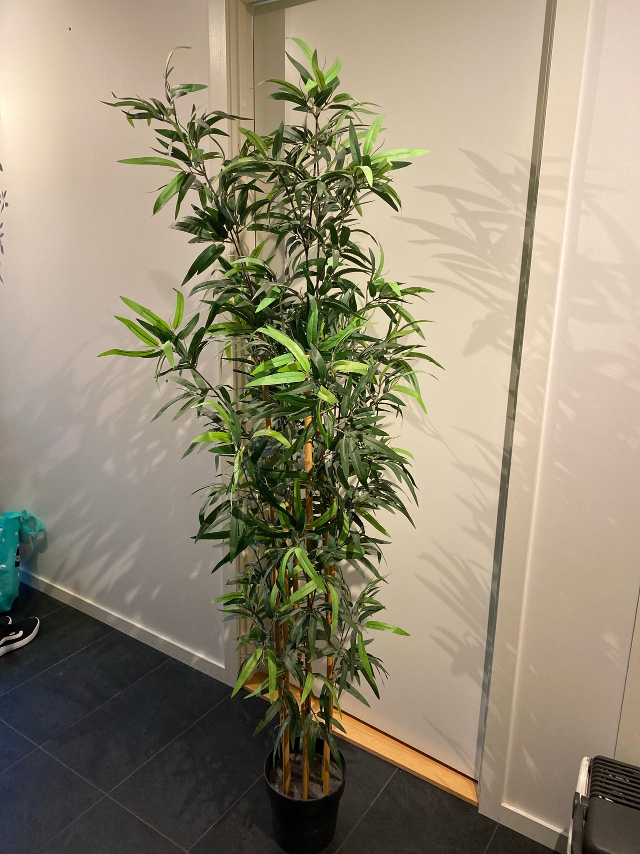 Plastikk plante | FINN-torget