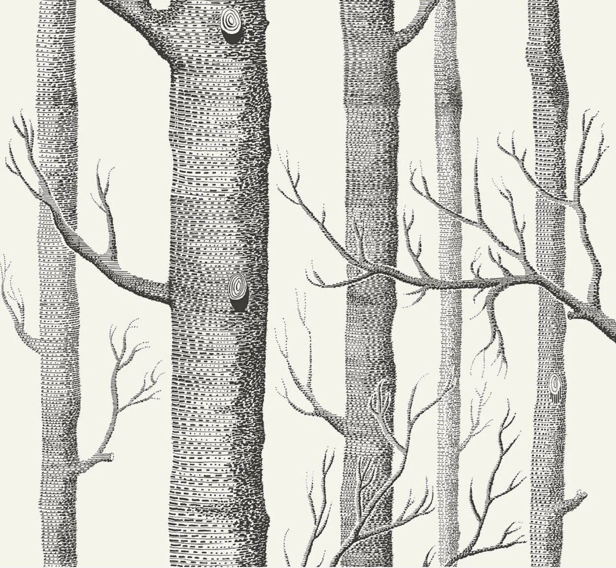 Cole & son tapet woods ønskes kjøpt | FINN-torget