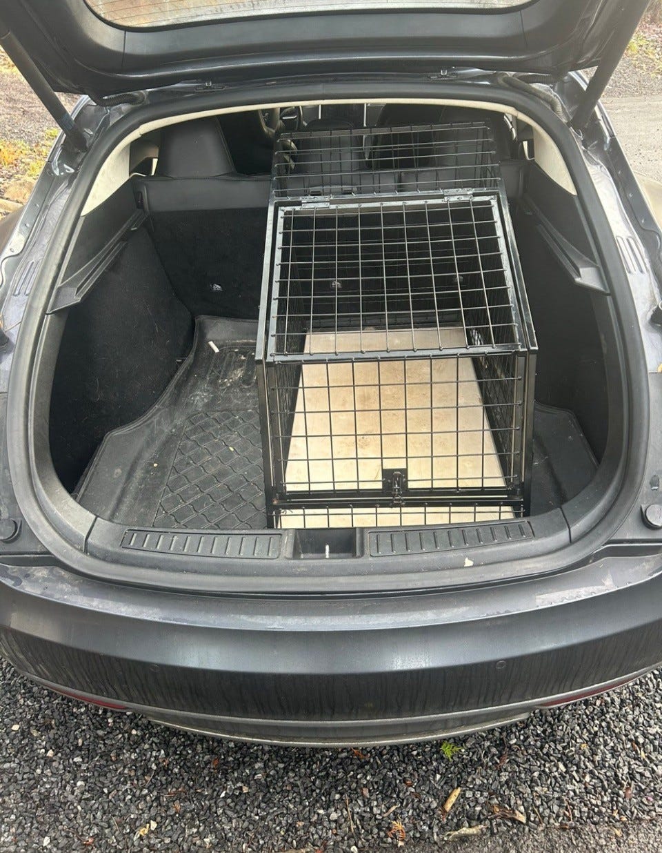 Hundebur til Tesla | FINN-torget