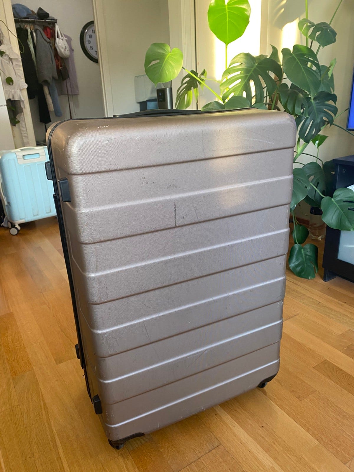 Muji 105L hard trolley suitcase(‐H77 x W52 x D29cm) | FINN-torget