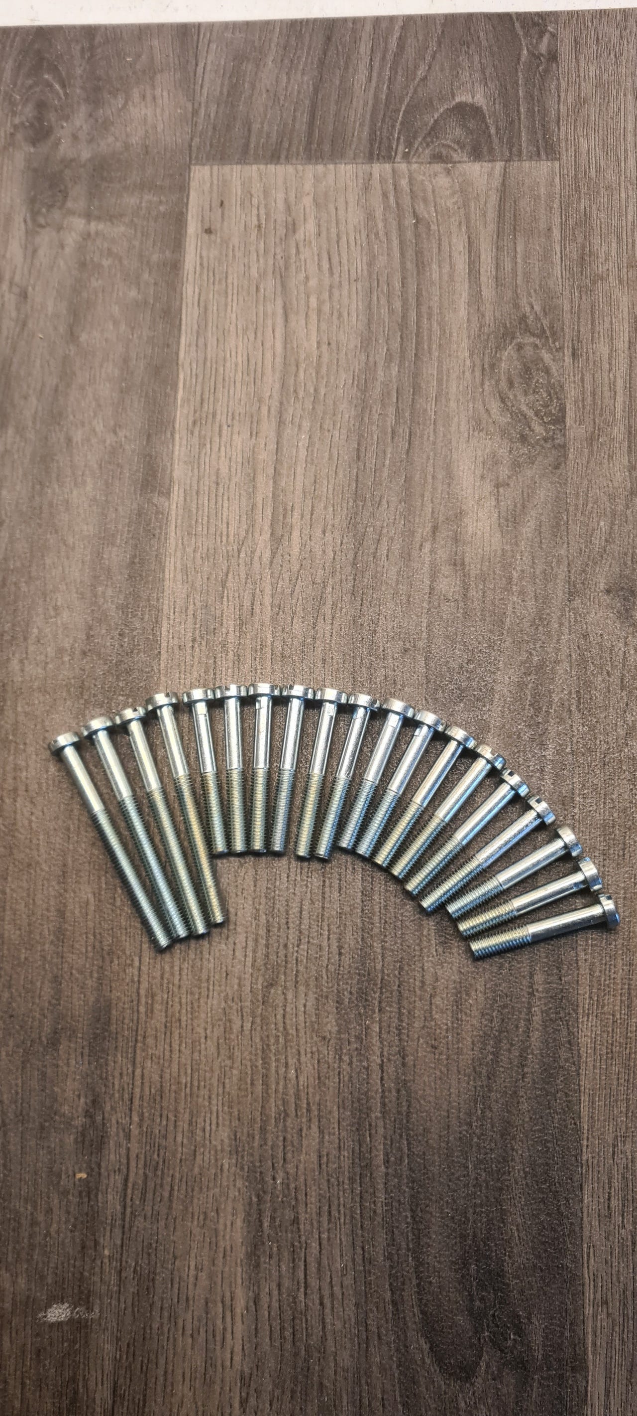 SACHS TEMPO PANTER OG SAFIR | FINN-torget