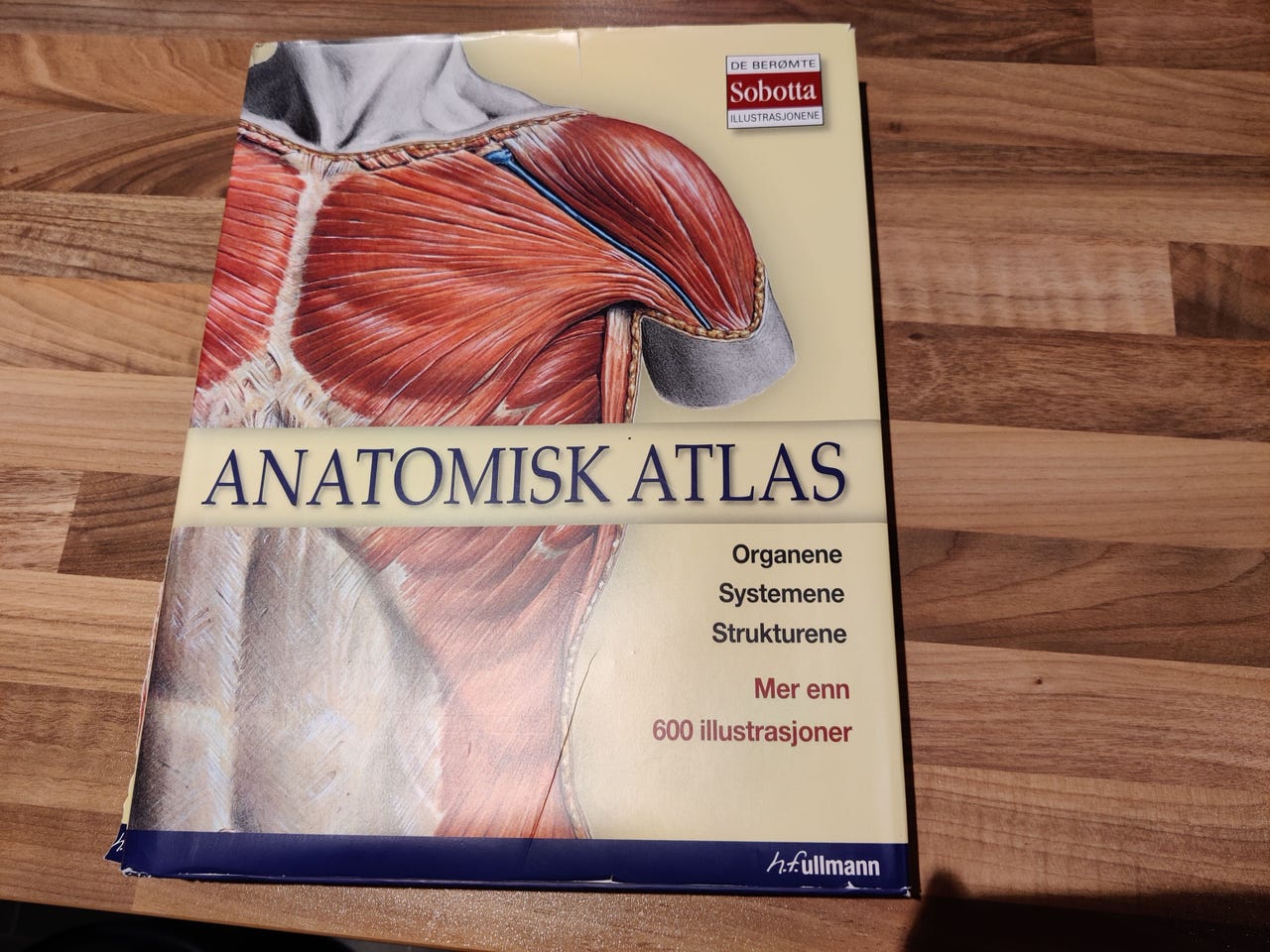 Anatomisk atlas | FINN-torget