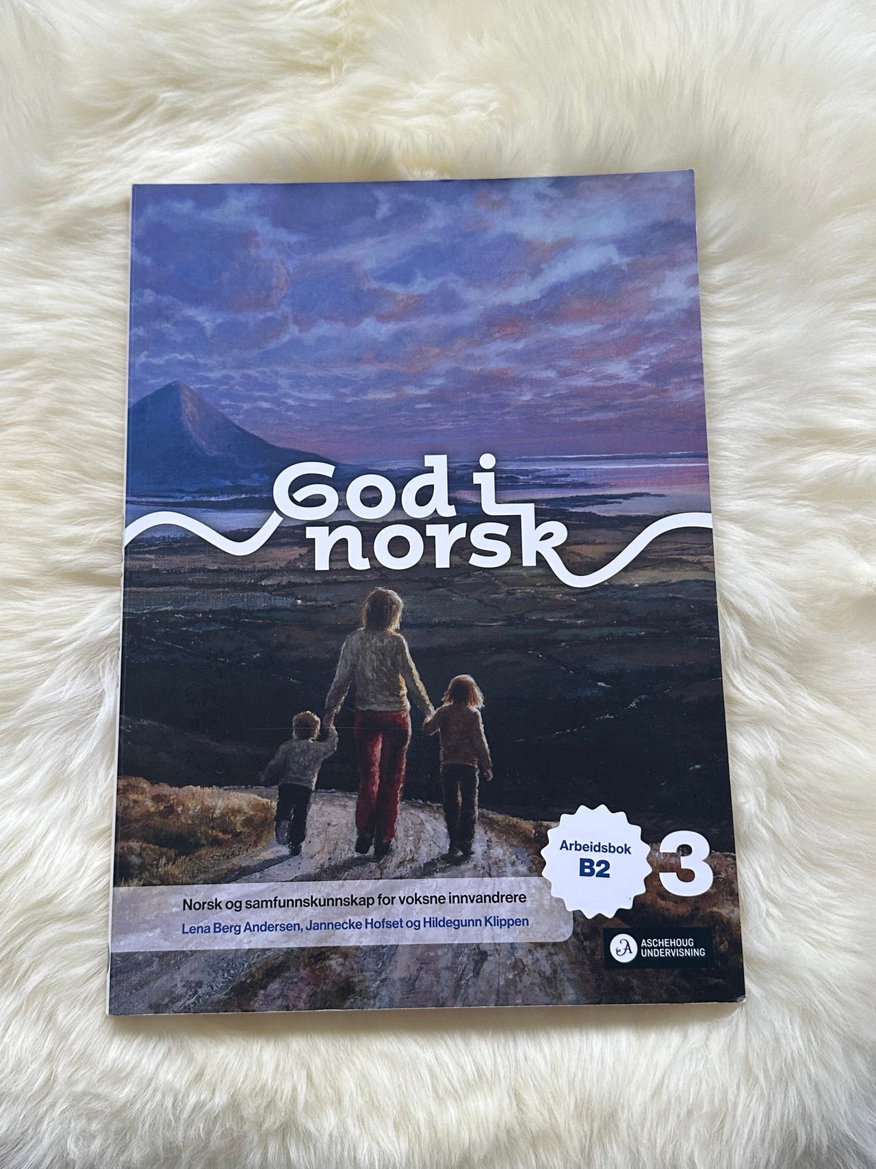 God i norsk 3 (2020) - B2 Arbeidsbok | FINN-torget