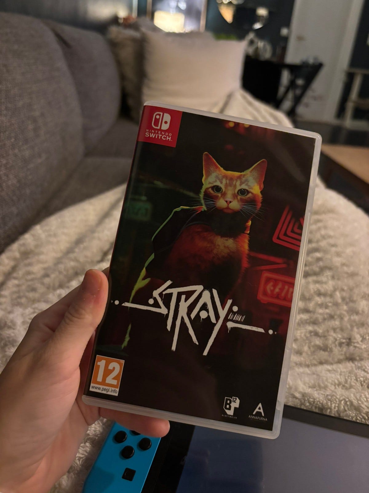 STRAY - nintendo switch | FINN-torget